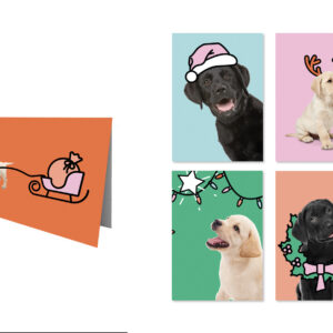 All Products Archives - Page 2 of 4 - Guide Dogs Queensland