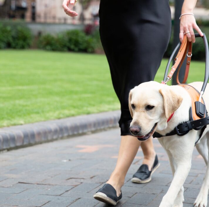 Guide Dog Mobility - Guide Dogs Queensland