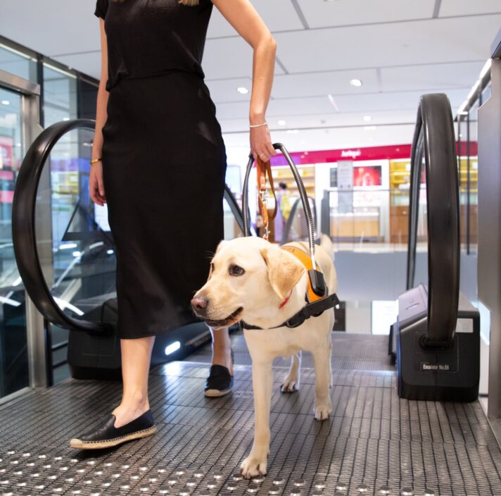 Guide Dog Mobility - Guide Dogs Queensland