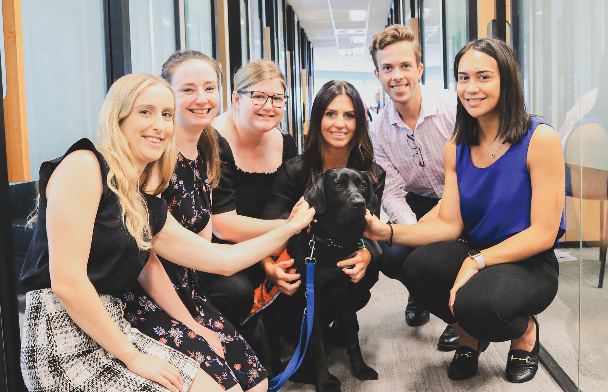 Workplace Giving - Guide Dogs Queensland