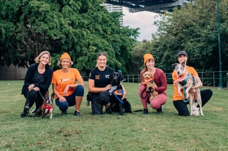 Rehome A Dog - Guide Dogs Queensland