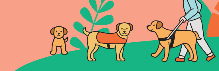 Request a service - Guide Dogs Queensland